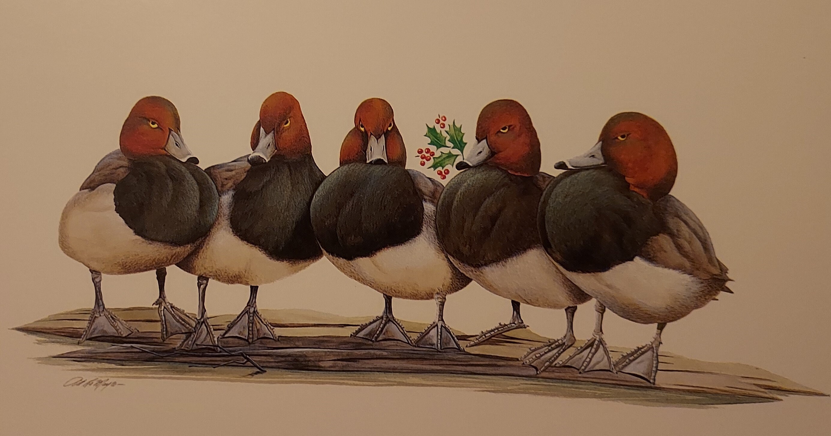 Vintage 1990s Vintage National Wildlife Federation Holiday Cards ...