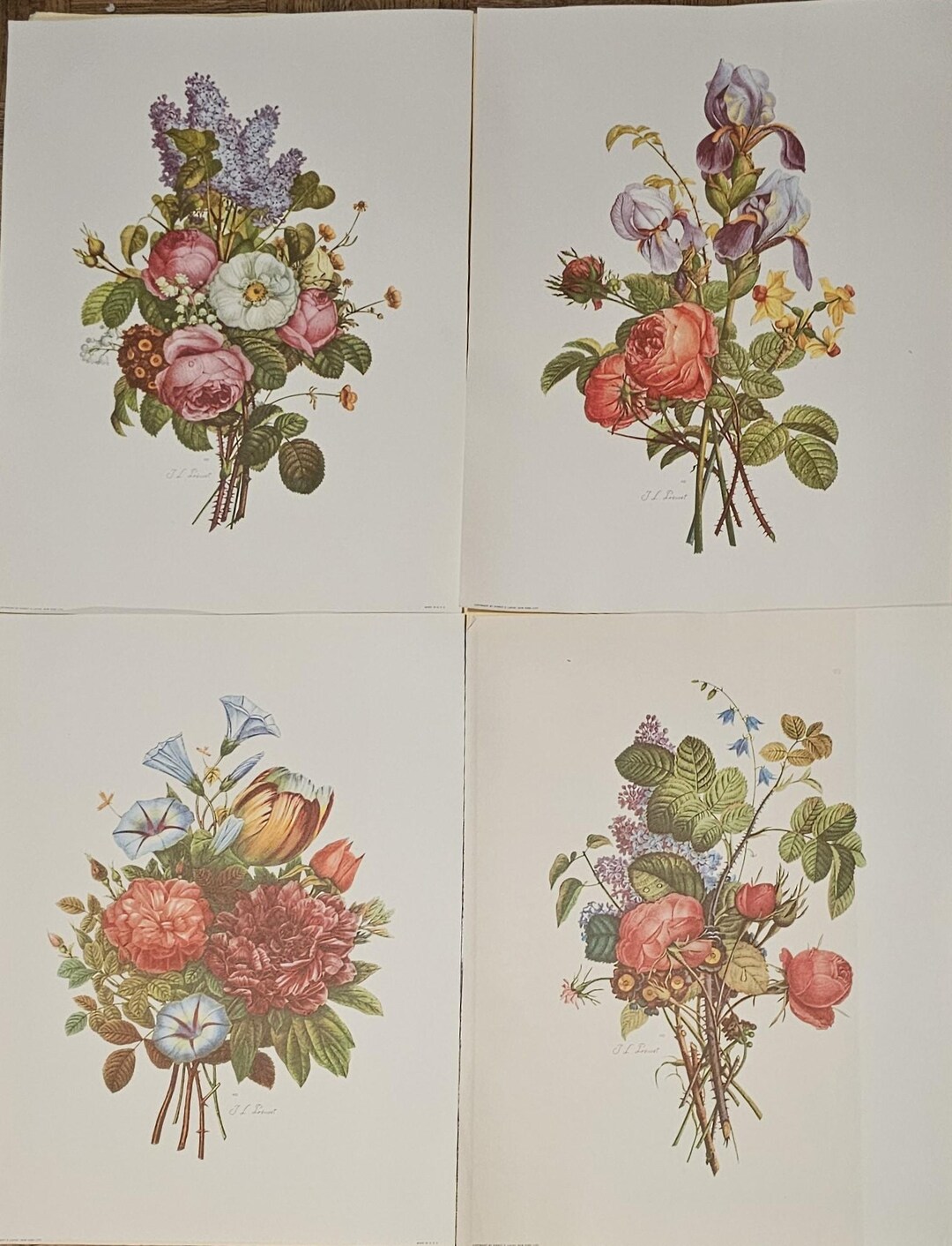 Floral Botanical Wall Art, Prevost Floral Reproduction Unframed Prints ...