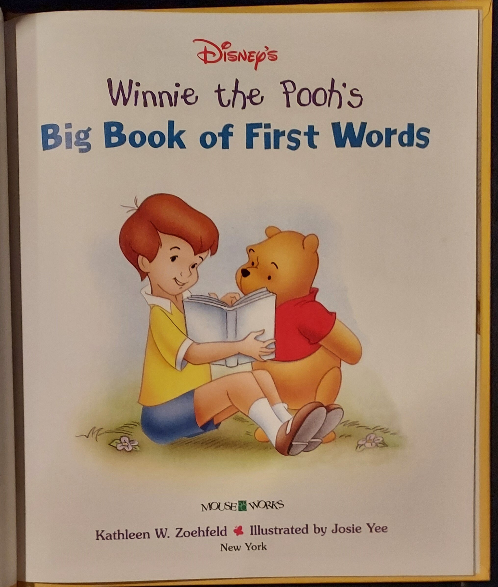 Disney's: Winnie the Pooh's - Big Book of First Words, Adapted by ...