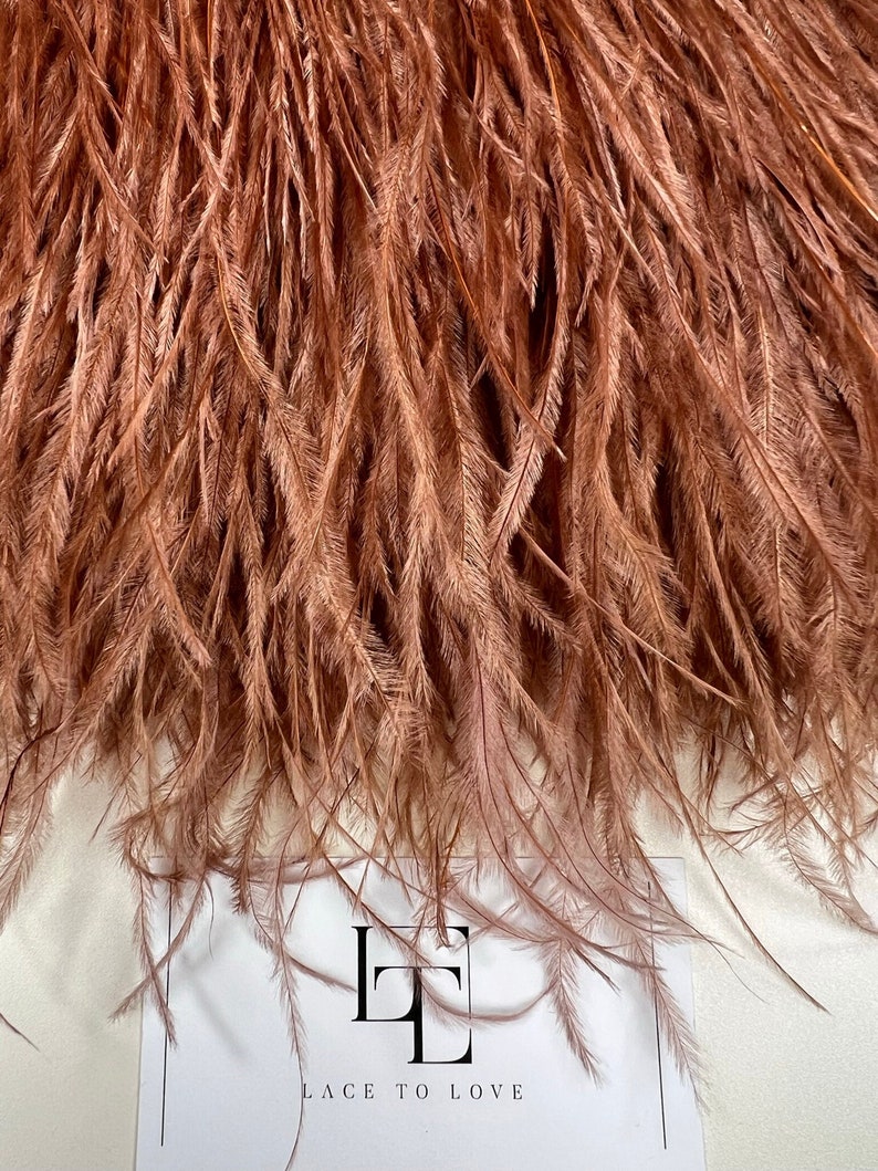 Brown Ostrich Feather Fringe Feather Trimming With Ribbon - Etsy
