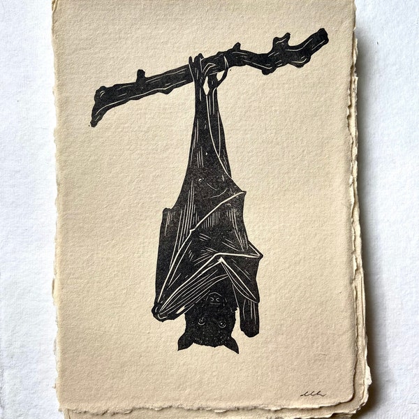Fruit Bat - Etsy