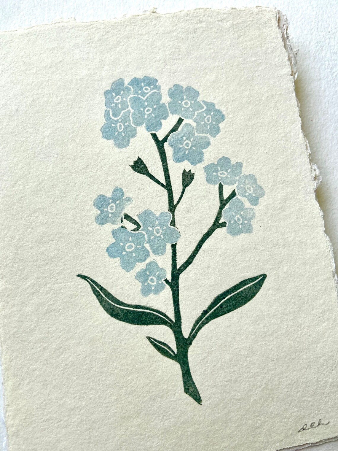 Forget Me Not Flower Print Floral Print Botanical Print - Etsy