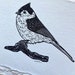 Tufted Titmouse Winter Bird Hand Carved Hand Printed - Etsy