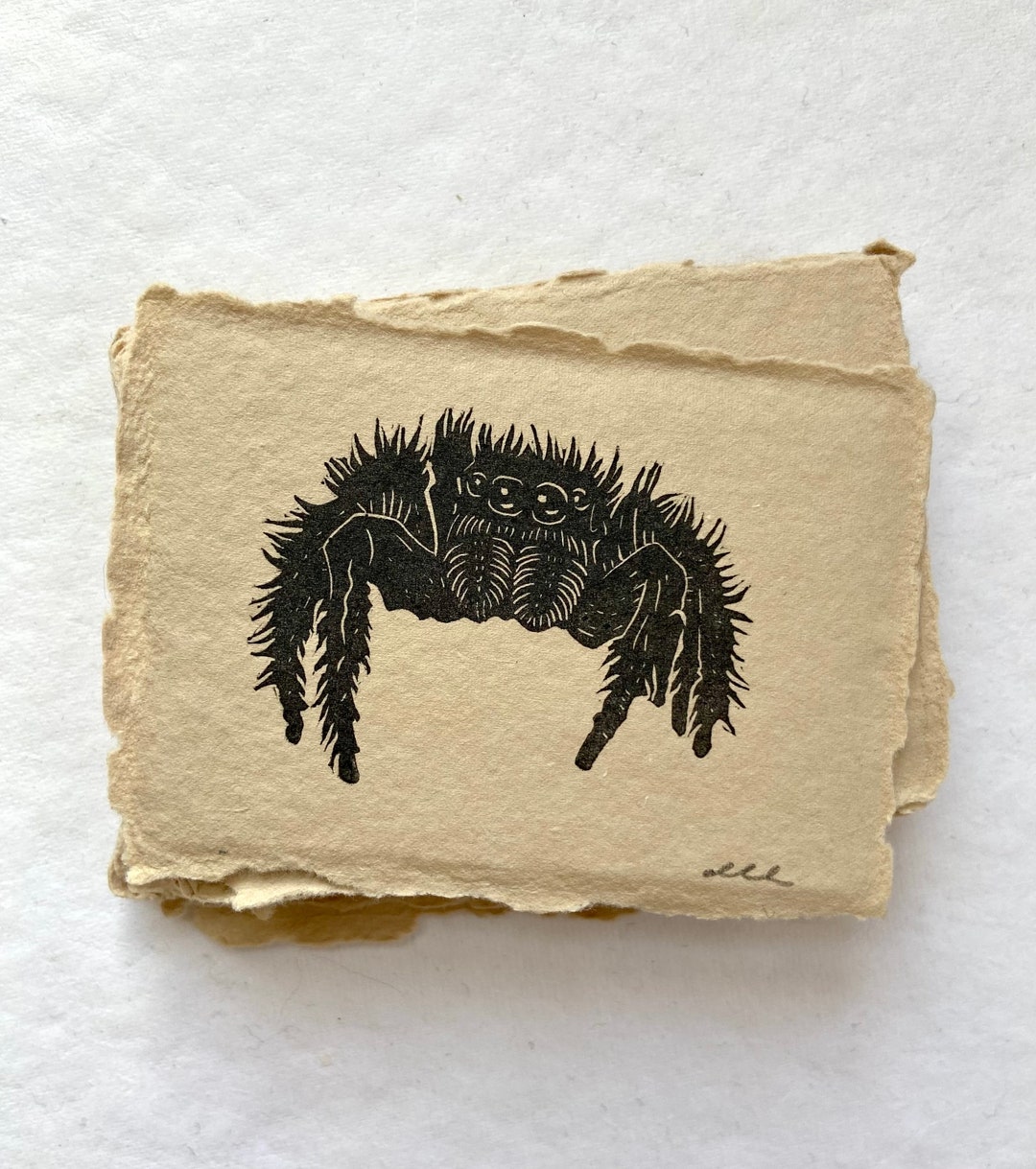 Mini Jumping Spider Print Halloween Art Original Art Block Print Hand ...