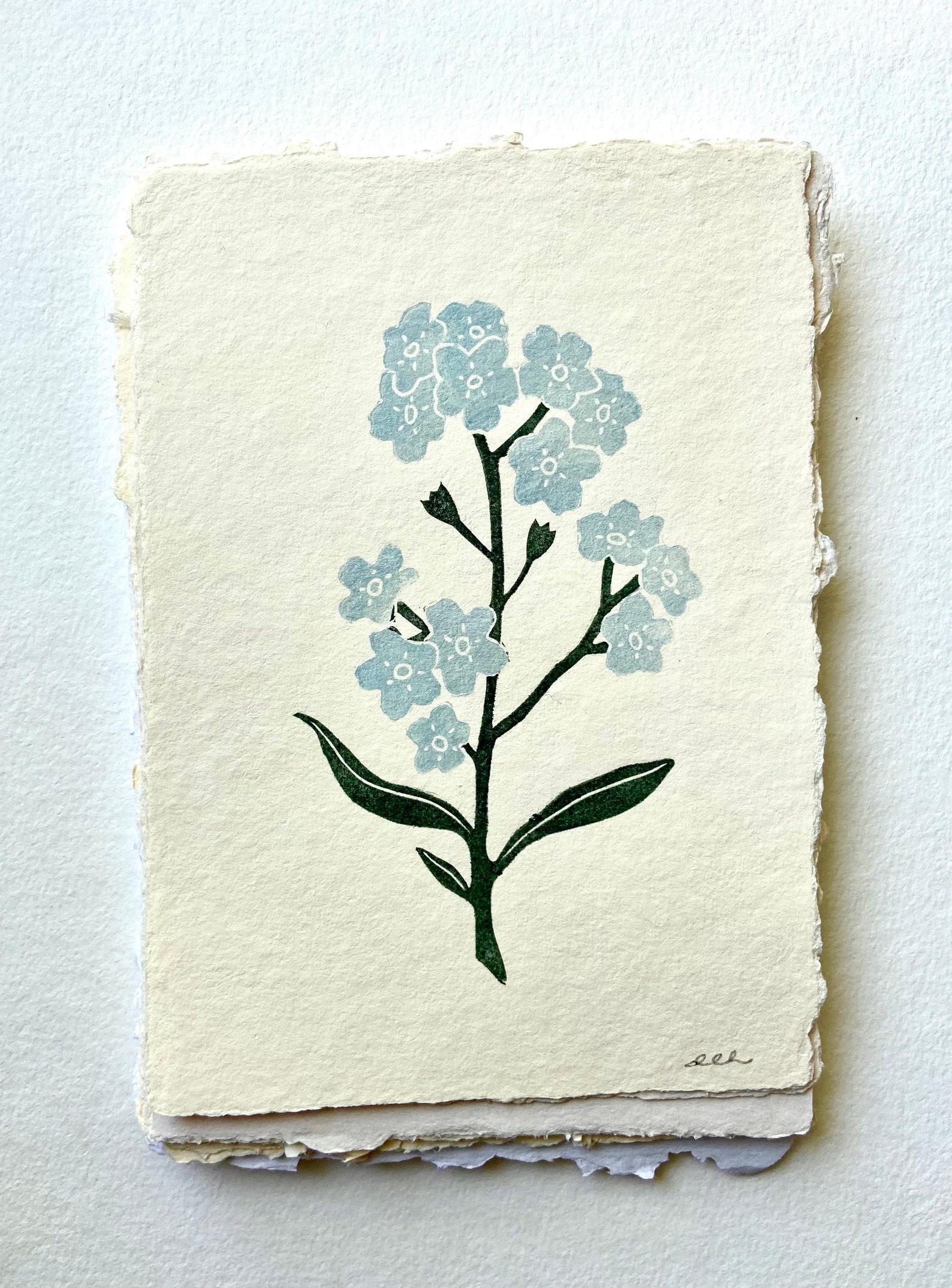 Forget Me Not Flower Print Floral Print Botanical Print - Etsy
