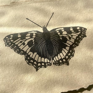 Tortoise Shell Butterfly Print | Butterfly Print | Original Art | Block ...