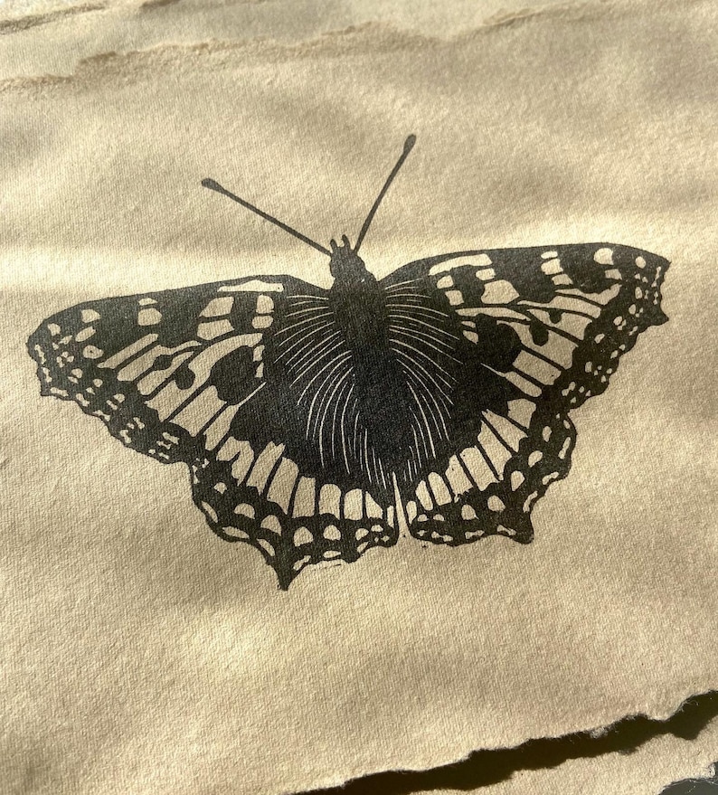 Tortoise Shell Butterfly Print Butterfly Print Original - Etsy