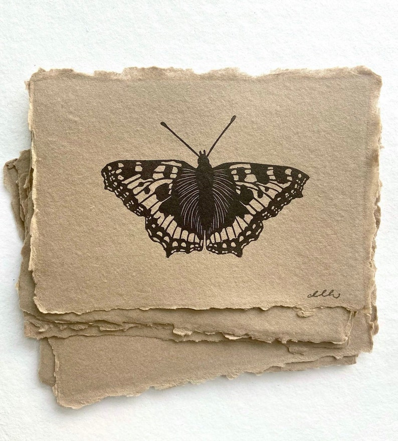 Tortoise Shell Butterfly Print Butterfly Print Original - Etsy