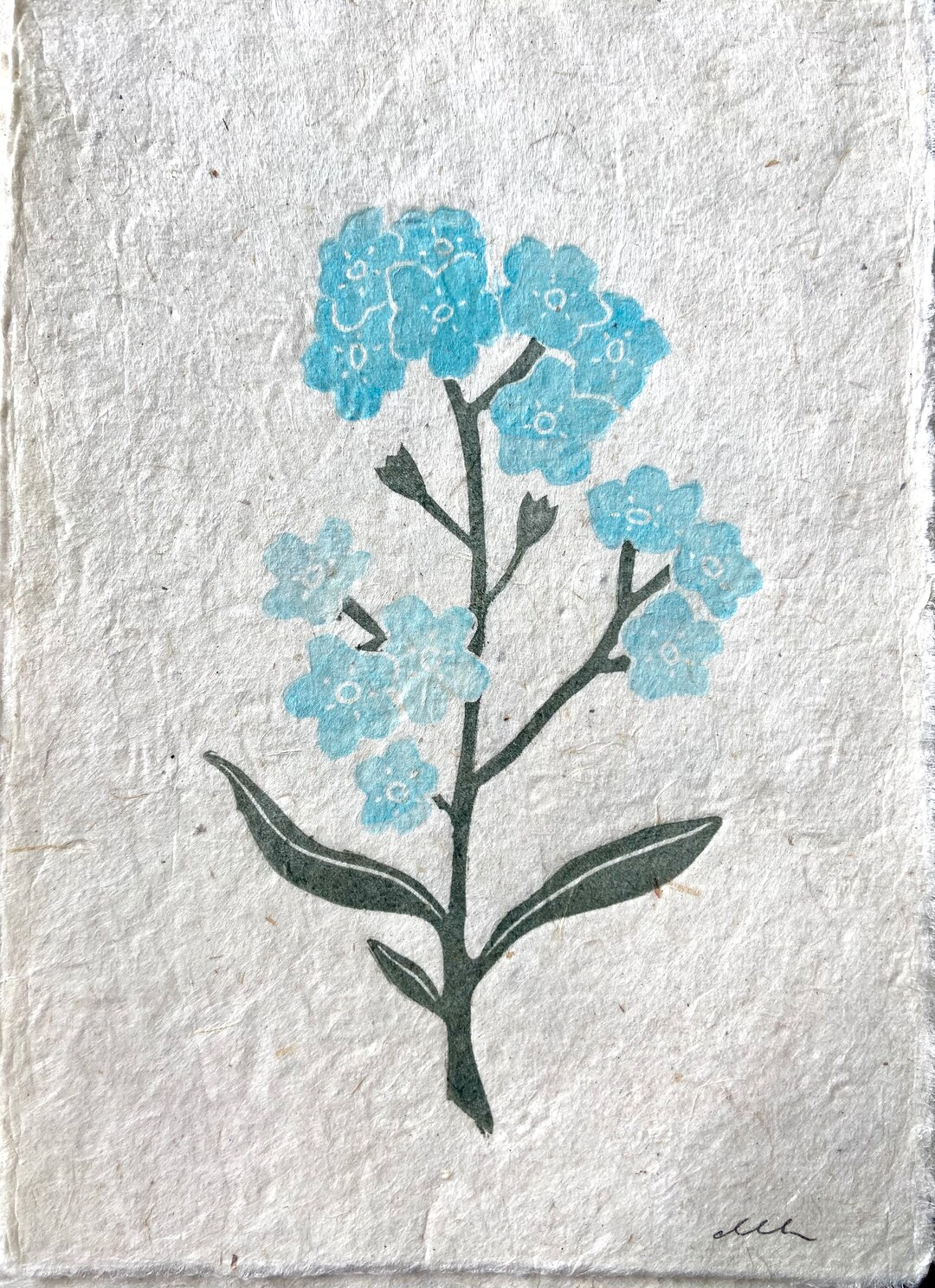 Forget Me Not Flower Print | Floral Print | Botanical Print | Original ...
