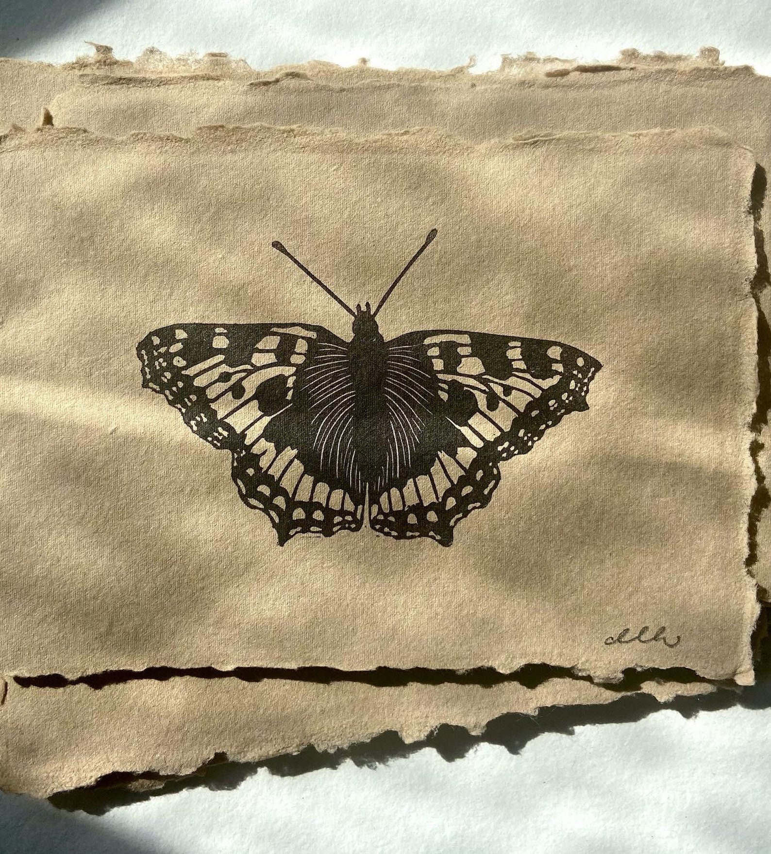 Tortoise Shell Butterfly Print Butterfly Print Original - Etsy