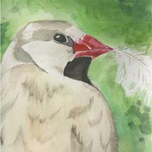 Feathered Friend Printable Cards - Etsy