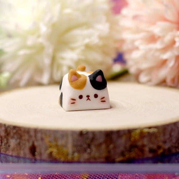 Adobe Photoshop 2022 Cheat Sheet: Tools, Tips,quick Reference ...