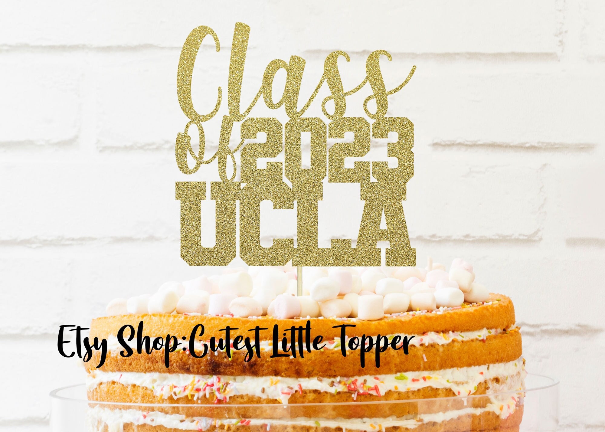 Graduation Cake Topper Graduation 2023 College Graduate Cake - Etsy