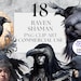 18 Raven Shaman Clipart PNG, Raven Clipart, Fantasy Clipart, Tribal ...