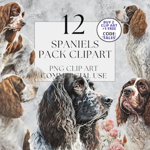 12 Spaniel Clipart Pack in Transparent PNG, Full Commercial Use ...