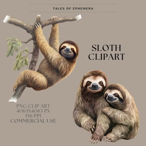 17 Sloth Clipart, PNG Beautiful Floral Jungle Tropical Animals Sloths ...