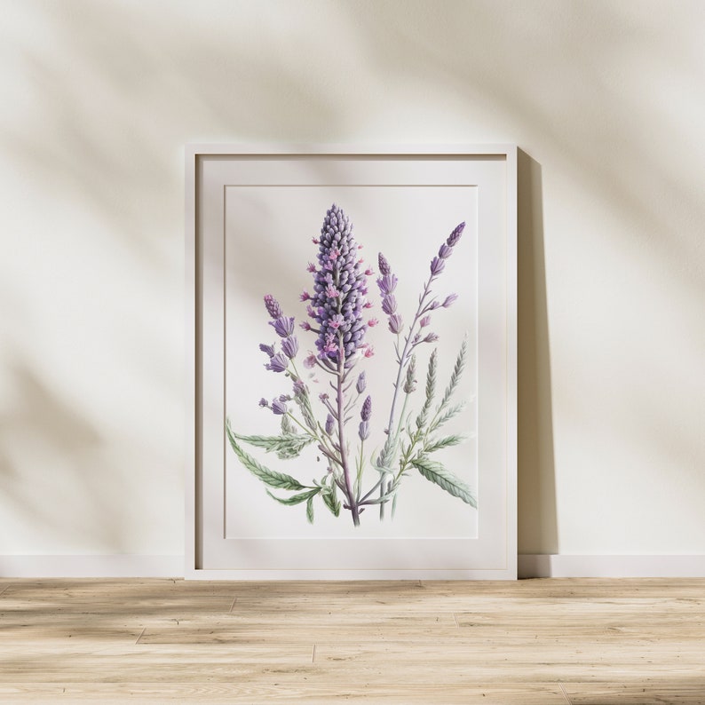 10 Lavender & Frames Clipart Pack PNG Beautiful Botanical - Etsy