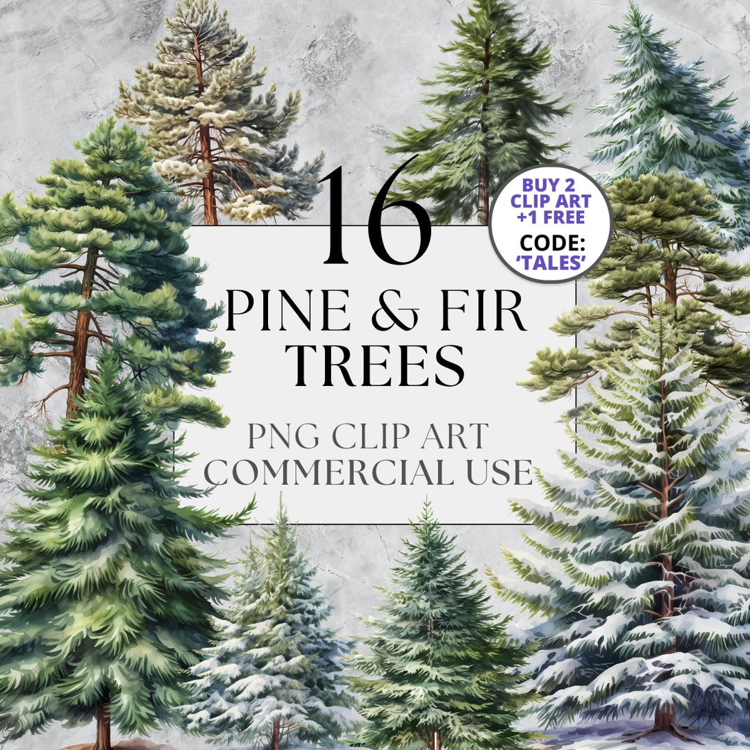 Pine and Fir Tree Clipart, PNG, Full Commercial Use, Cozy Christmas ...