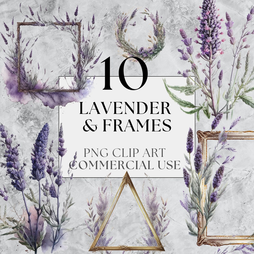 10 Lavender & Frames Clipart Pack | PNG | Beautiful Botanical Clip Art ...
