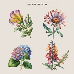 90 Watercolor Flower Clipart Pack, PNG, Full Commercial Use, Floral ...