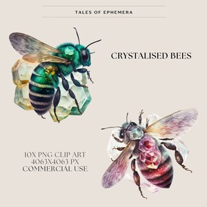 10 Crystalized Bees PNG Beautiful Mystical Witchy Fantasy Clip Art ...