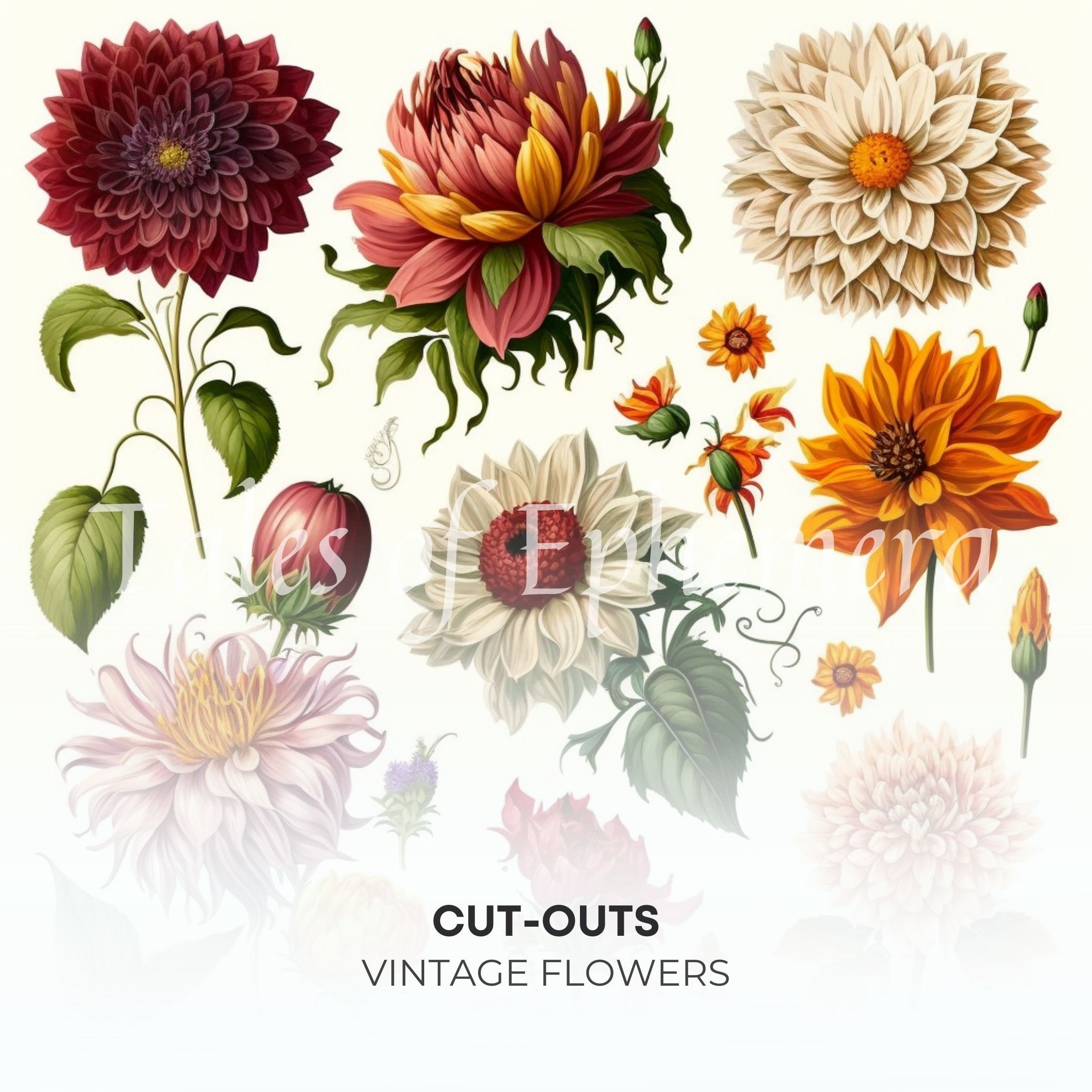 Vintage Flower Patterns | Downloadable Design | Printable Backgrounds ...
