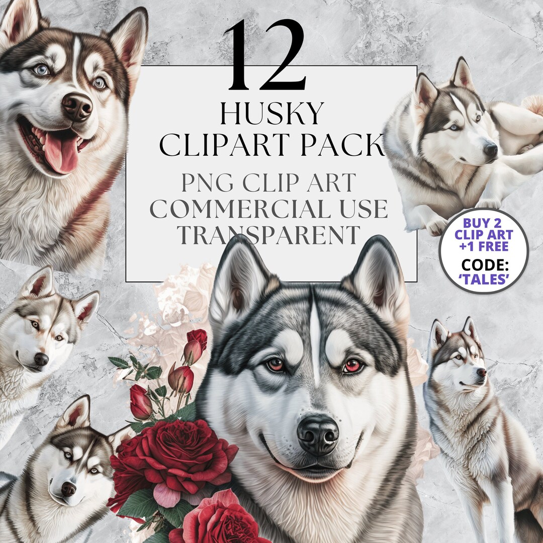 12 Husky Clipart Pack in Transparent PNG, Full Commercial Use, Instant ...