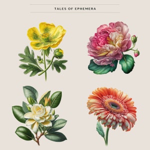 90 Watercolor Flower Clipart Pack, PNG, Full Commercial Use, Floral ...