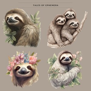 17 Sloth Clipart, PNG Beautiful Floral Jungle Tropical Animals Sloths ...
