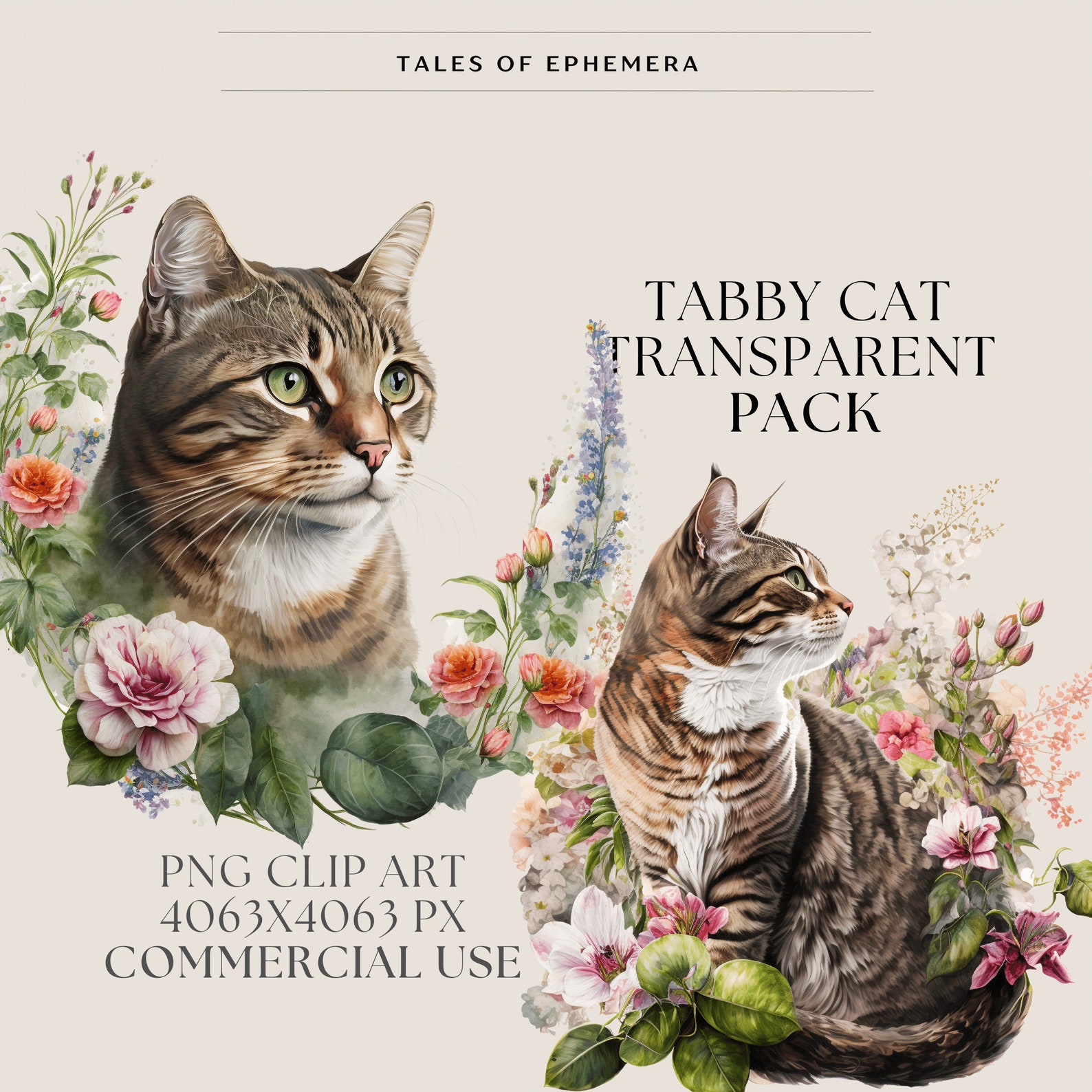 Tabby Cat Clipart Pack Tabby Cat PNG Floral Cat Clipart Full Commercial ...