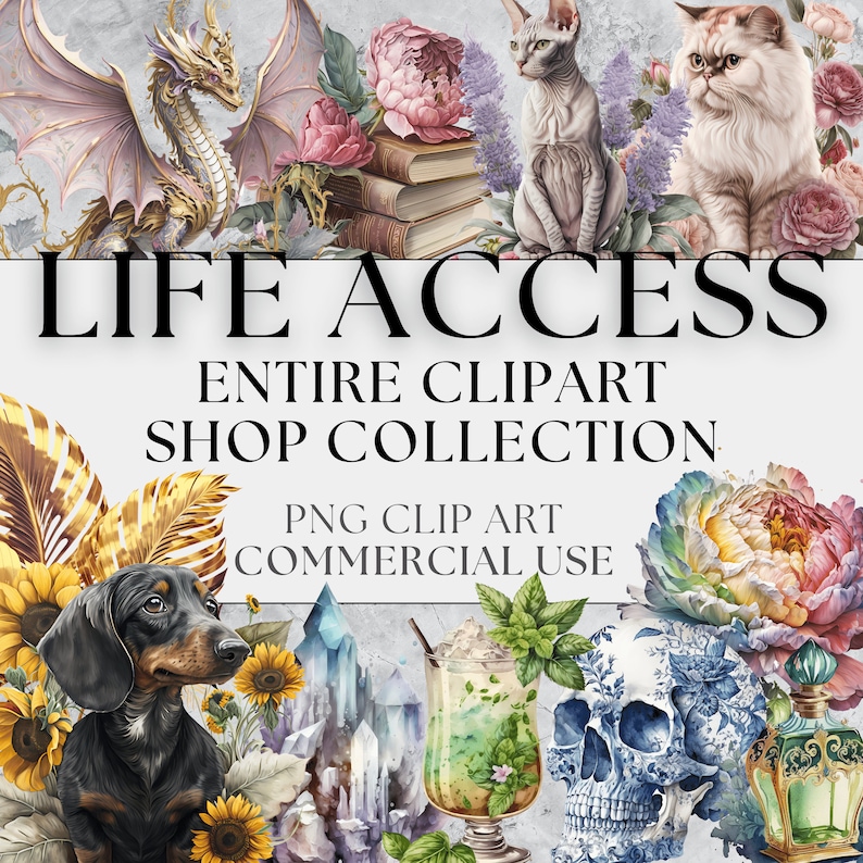 Ultimate Clipart Bundle Entire Clipart Shop Lifetime - Etsy UK