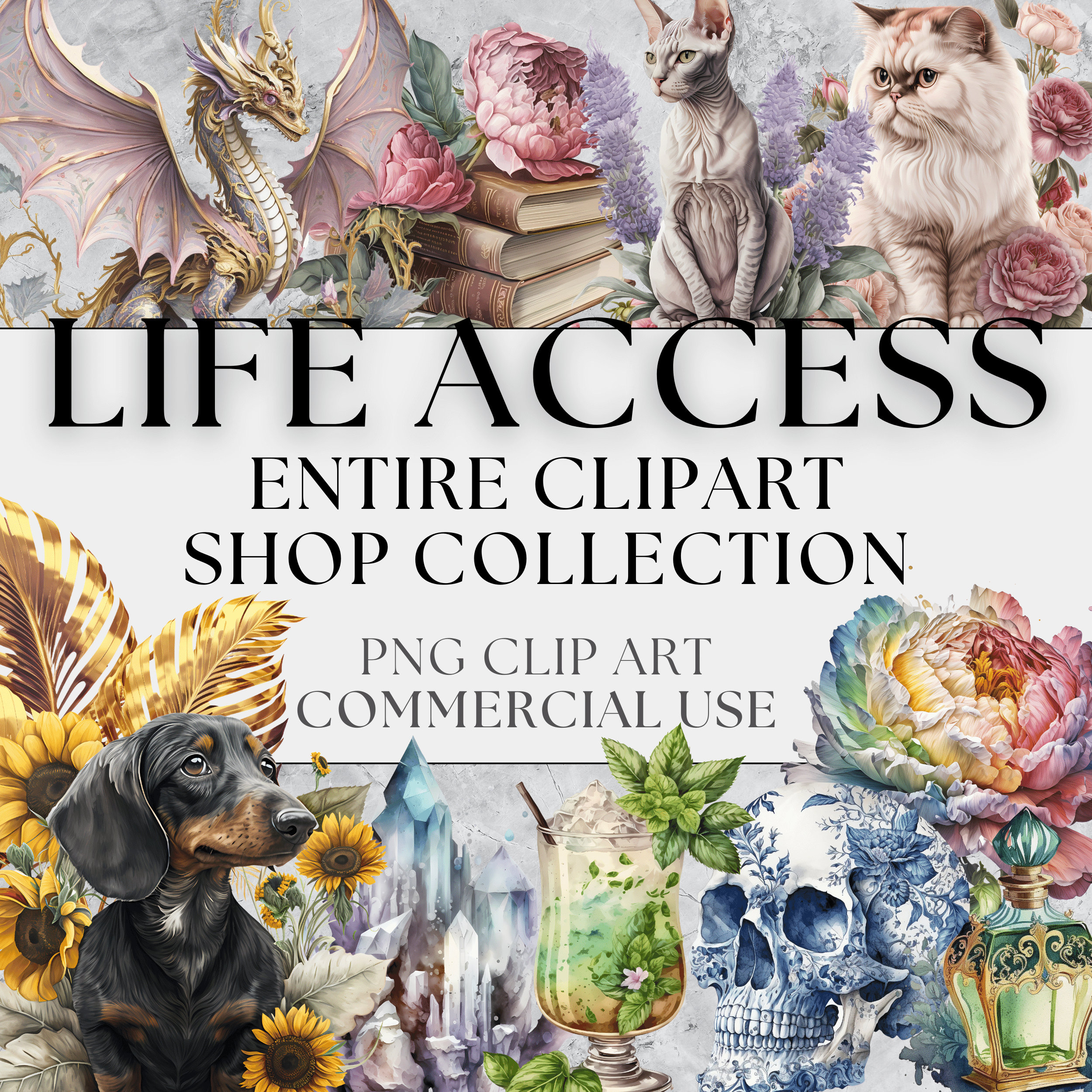 Ultimate Clipart Bundle Entire Clipart Shop Lifetime - Etsy UK