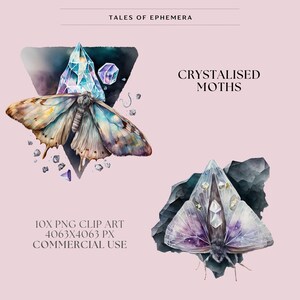 10 Crystalized Moths | PNG | Beautiful Mystical Witchy Fantasy Clip Art ...