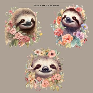 17 Sloth Clipart, PNG Beautiful Floral Jungle Tropical Animals Sloths ...