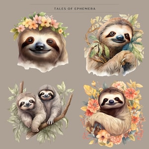 17 Sloth Clipart, PNG Beautiful Floral Jungle Tropical Animals Sloths ...