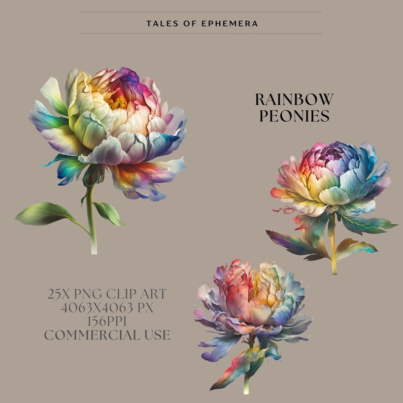 25 Rainbow Peonies Clipart, PNG, Full Commercial Use, Watercolor Floral ...