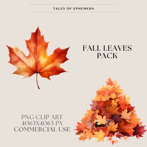 Fall Leaves & Trees Clipart, Autumn Clipart, Watercolor Cozy Autumn ...