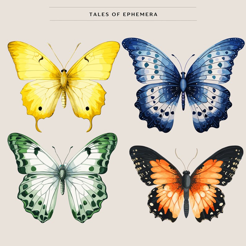 20 Beautiful Butterfly SVG Designs, High Quality SVG, Full Commercial ...