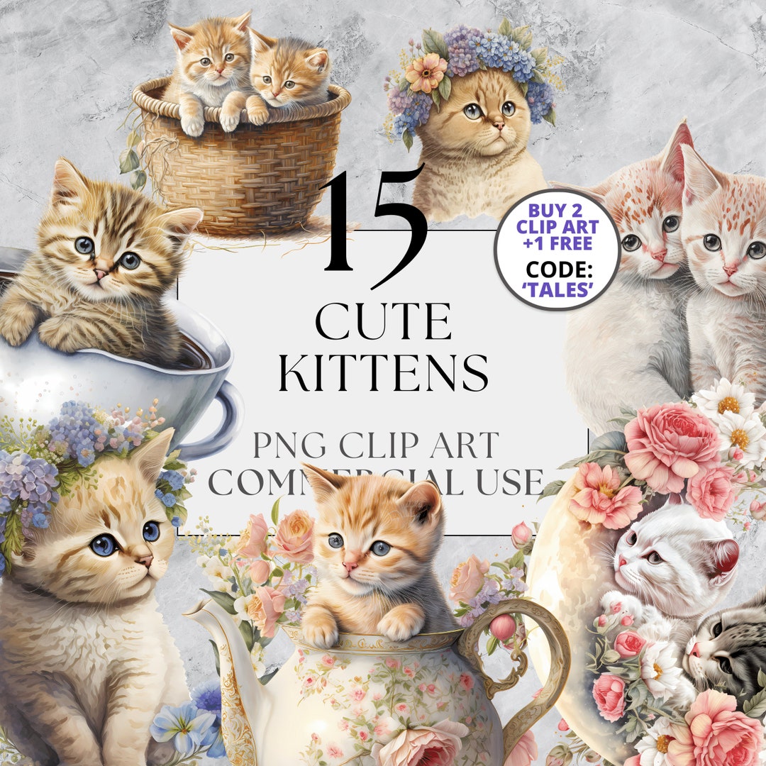 Cute Kittens Clipart Pack in Transparent PNG, Full Commercial Use ...