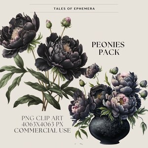 Black Peonies Clipart Peony PNG Floral Clipart Flower Clipart Full ...