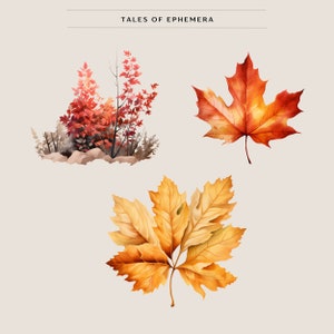 Fall Leaves & Trees Clipart, Autumn Clipart, Watercolor Cozy Autumn ...