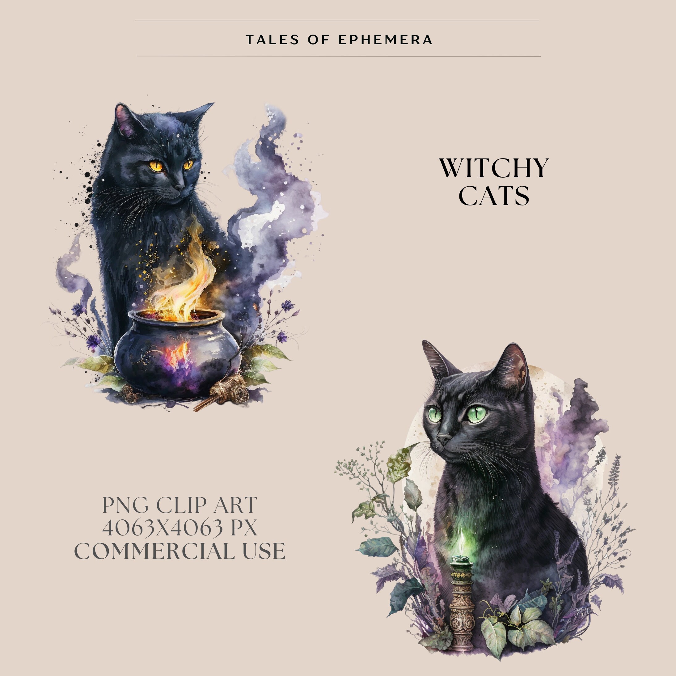 Witchy Cats Clipart Cat Clipart Fairytale Clipart Fantasy Clipart Wicca ...