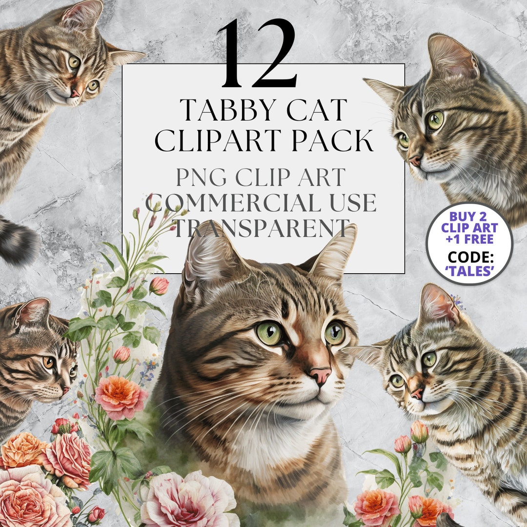 Tabby Cat Clipart Pack Tabby Cat PNG Floral Cat Clipart Full Commercial ...