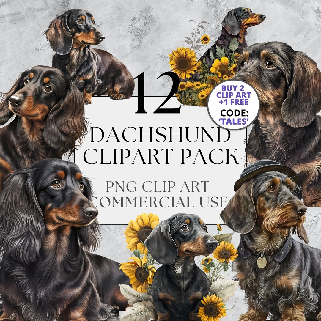 12 Dachshund Clipart Pack in Transparent PNG, Full Commercial Use ...