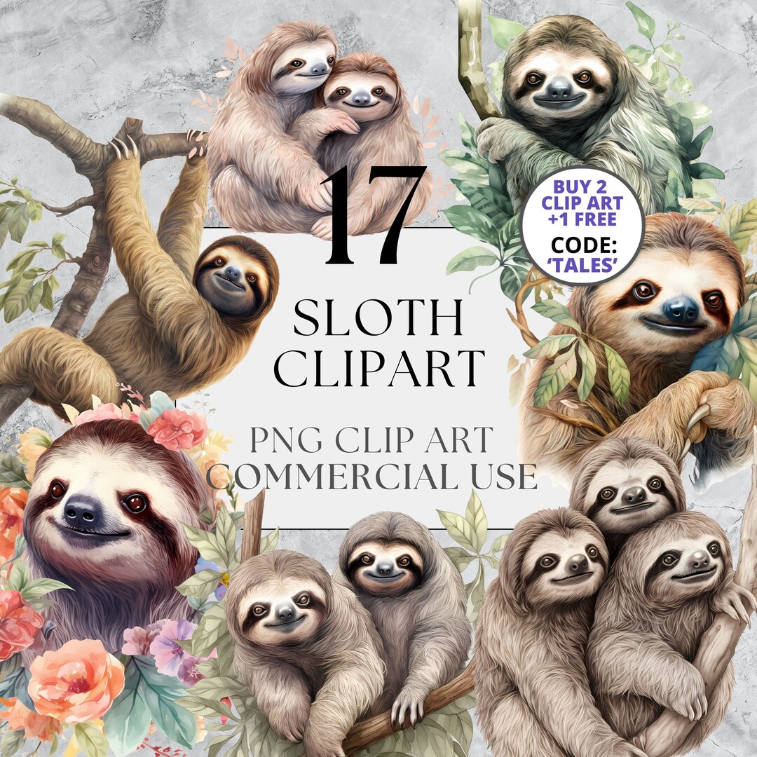 17 Sloth Clipart, PNG Beautiful Floral Jungle Tropical Animals Sloths ...