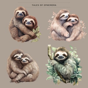 17 Sloth Clipart, PNG Beautiful Floral Jungle Tropical Animals Sloths ...