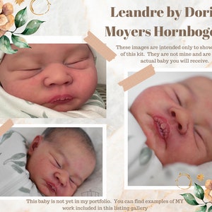 Amazing Hyper-realistic Reborn Custom Doll Leandre by Doris Moyers ...