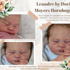 Amazing Hyper-realistic Reborn Custom Doll Leandre by Doris Moyers ...