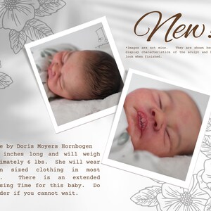 Amazing Hyper-realistic Reborn Custom Doll Leandre by Doris Moyers ...