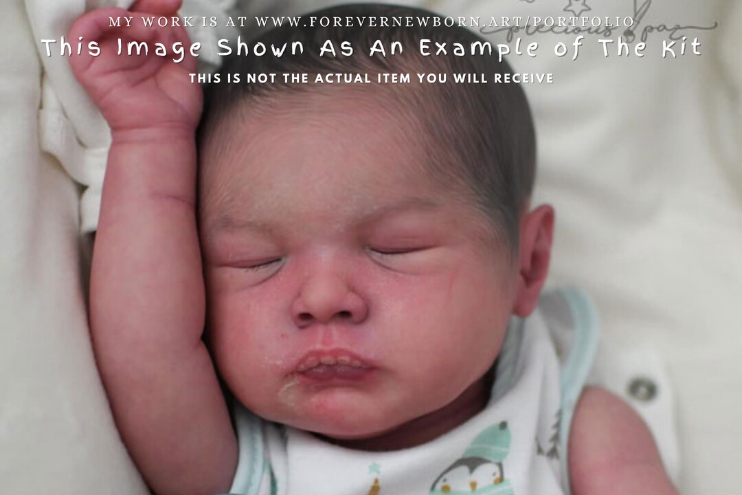 Reborn Baby hyper-realistic Reborn Doll Flora by Priscila Lopez 19 Full ...